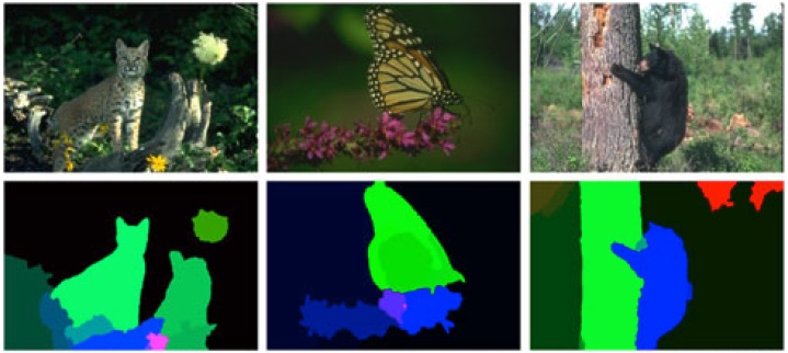 Piecewise Flat Embedding For Image Segmentation Chaowei Fang